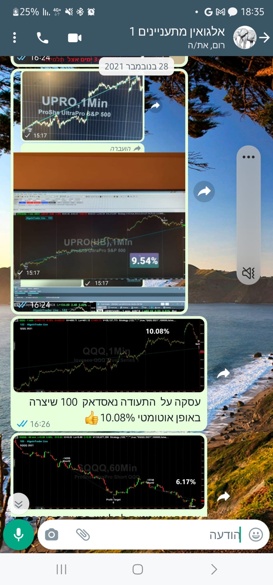 עשרות אחוזים UPRO QQQ SQQQ